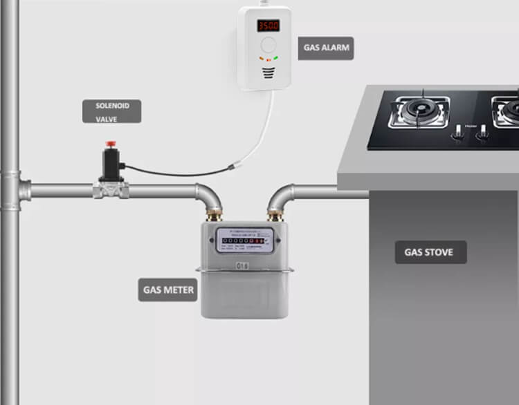 Network CO And Combustible LPG Gas Detector
