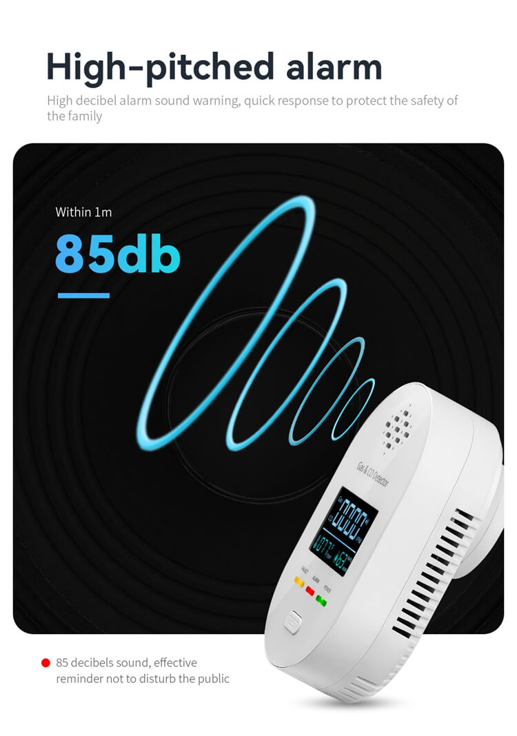 Sumring AC 90~240V Carbon Monoxide Alarm Combustible Gas & CO detector